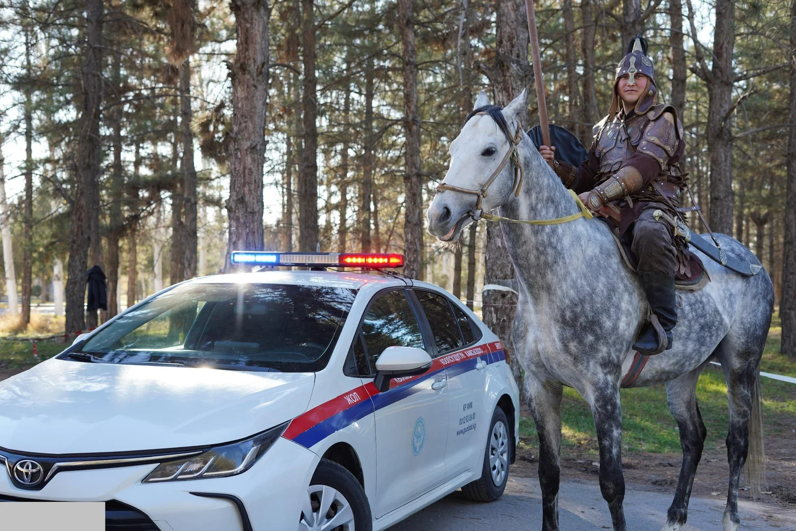 Garota de programa rs
